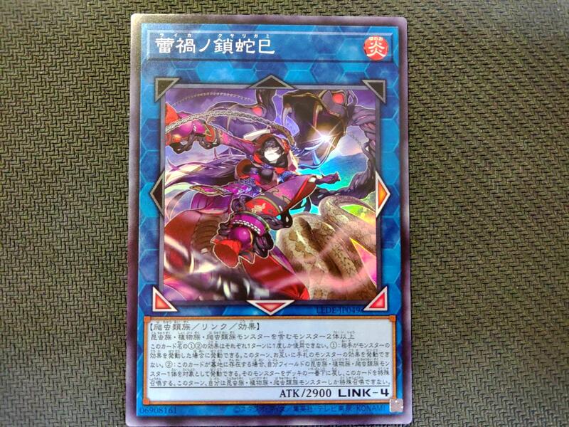 (新世界) LEDE-JP049 蕾禍的鎖蛇巳 亮面 99-95分 | 露天市集 | 全台最大的網路購物市集