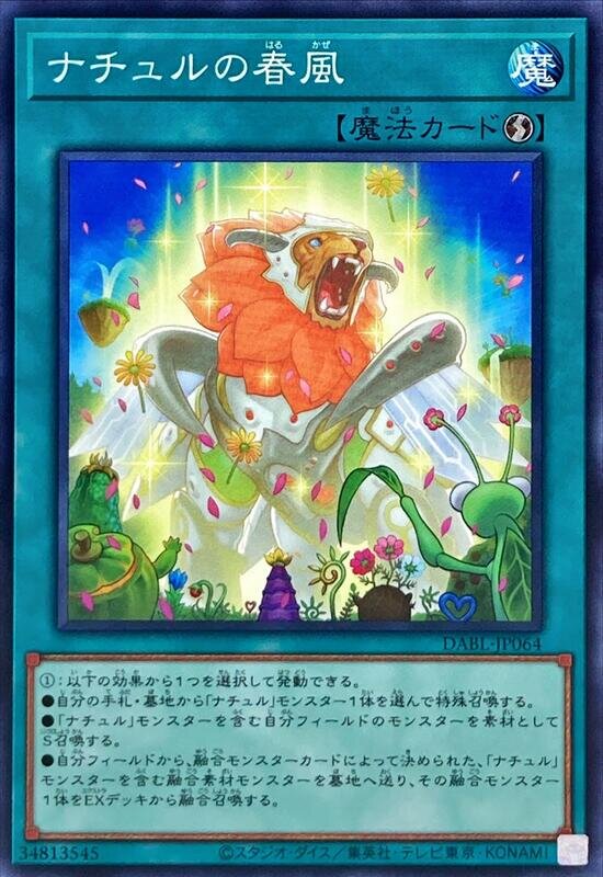 1110 DABL-JP064 自然的春風 (普卡) | 露天市集 | 全台最大的網路購物市集