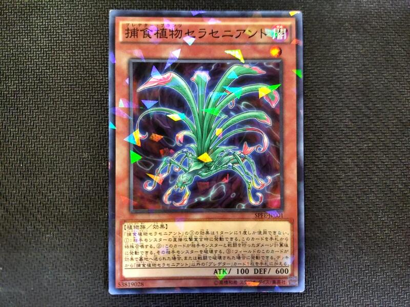 (新世界) SPFE-JP001 捕食植物瓶子草蟻 普卡碎鑽 98-90分 | 露天市集 | 全台最大的網路購物市集