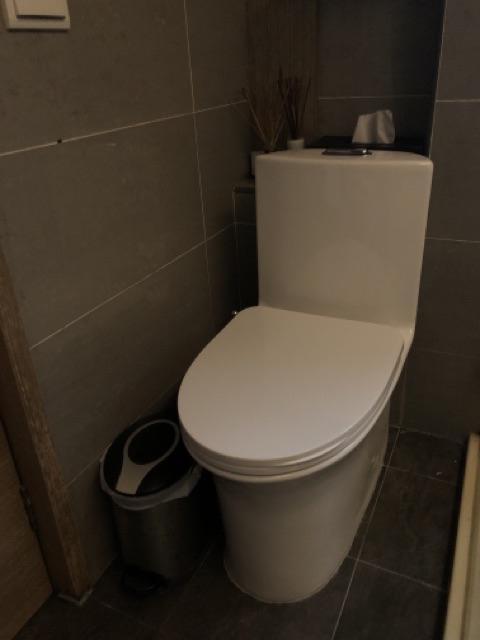 【國強水電修繕屋】 C-540 單體馬桶 30CM 同TOTO水龍捲抗污 | 露天市集 | 全台最大的網路購物市集