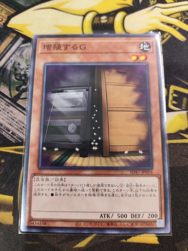 [醬小屋] 遊戲王 SD47-JP016 增殖G 普卡 搜:QCDB-JP015 RC04-JP005 | 露天市集 | 全台最大的網路購物市集