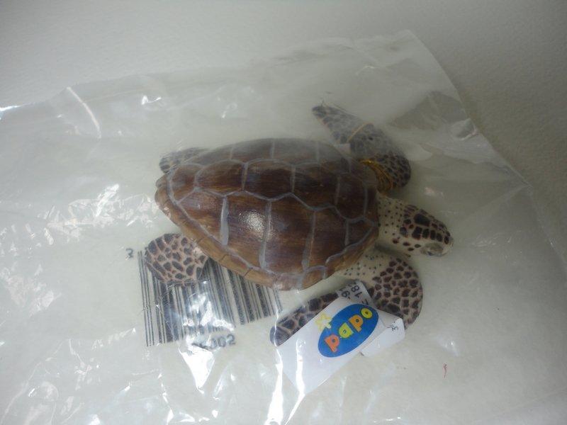 補貨中)海洋動物模型 PAPO 56005 海龜(玳瑁) | 露天市集 | 全台最大的網路購物市集