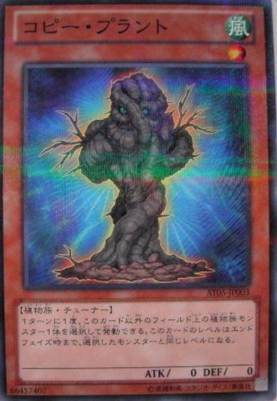 萬隆達* AT05-JP003 複製植物 (普鑽)搜尋CSOC-JP005 DE03-JP036 | 露天市集 | 全台最大的網路購物市集