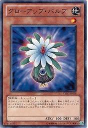 (白貓貓) 《普卡》SD32-JP021 STBL-JP018 成長球莖 | 露天市集 | 全台最大的網路購物市集