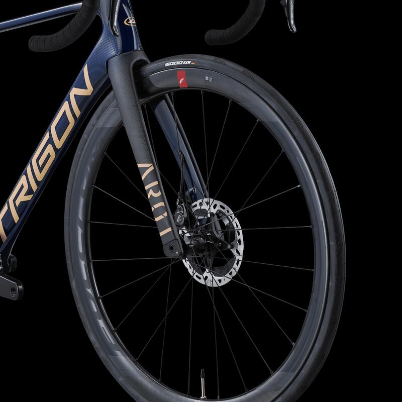 TRIGON AR01碟煞公路車 車架與成車 輕量化碳纖維 空力 爬坡兼備 重6.8kg起 > BIKEfun拜訪單車 | 露天市集 | 全台最大的網路購物市集