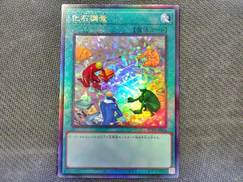 (新世界) RC04-JP054 化石調査 凸版 浮雕 99-97分 | 露天市集 | 全台最大的網路購物市集