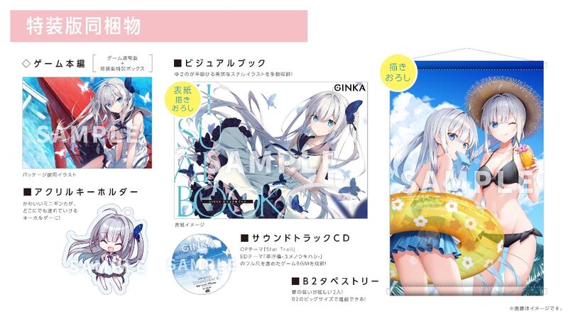【全新商品，補貨中】NS Switch遊戲 GINKA 純日版 限定特裝版 (支援 繁體中文) | 露天市集 | 全台最大的網路購物市集
