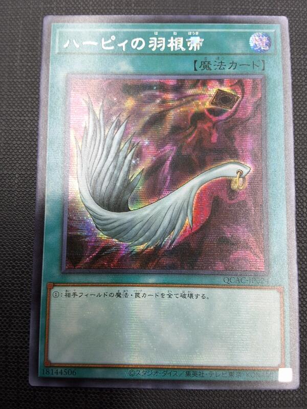 韓紙 QCAC-JP024 神鷹羽毛掃 (半鑽) | 露天市集 | 全台最大的網路購物市集