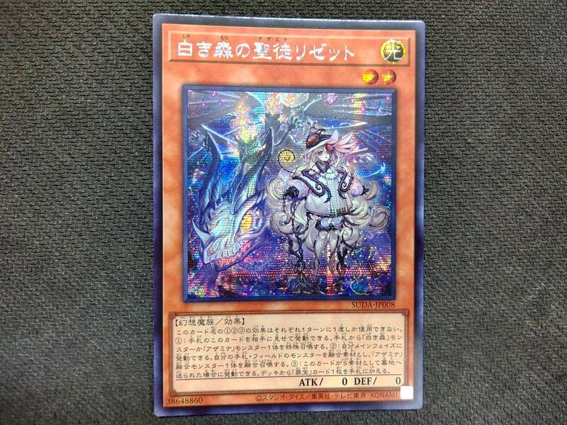 (新世界) SUDA-JP008 白之森的聖徒 莉賽特 銀字半鑽 99-97分(韓紙 | 露天市集 | 全台最大的網路購物市集