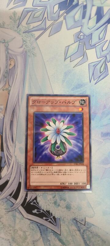 《LN卡鋪》STBL-JP018 成長球莖 搜18SP-JP302 SD32-JP021 | 露天市集 | 全台最大的網路購物市集