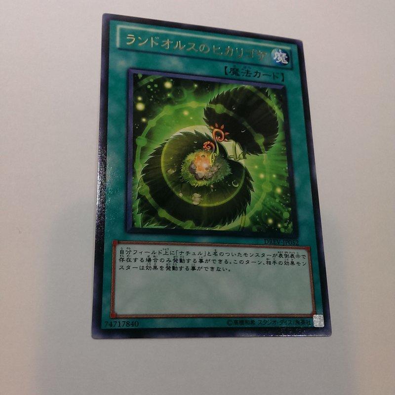 遊戲王 現貨 日紙 701 DREV-JP052 玄武的光藓 (銀字) (95分) | 露天市集 | 全台最大的網路購物市集