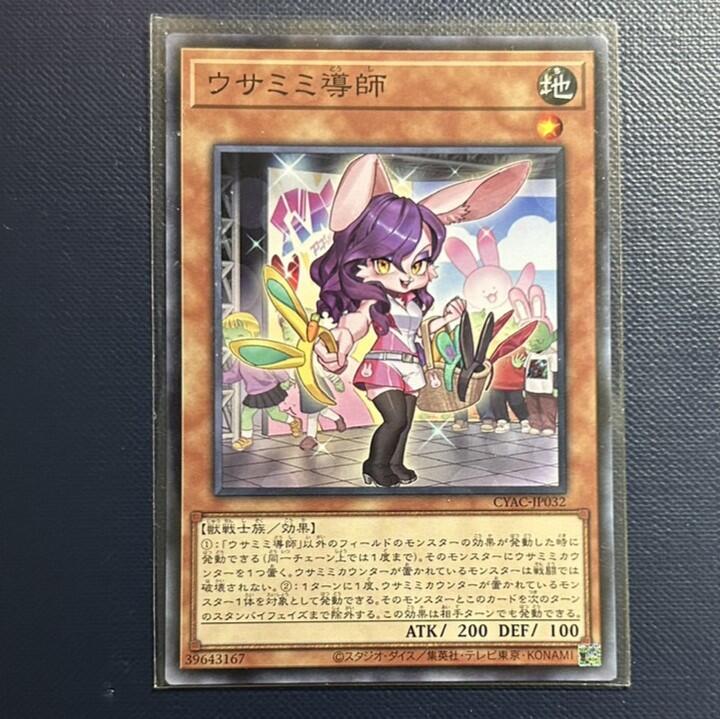 (雪鴞) CYAC-JP032 兔耳導師 (隱普) | 露天市集 | 全台最大的網路購物市集