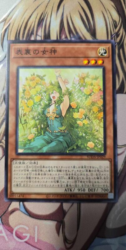 [九四賣客] SUDA-JP029 表裡的女神 (隱普) RM RC5 | 露天市集 | 全台最大的網路購物市集