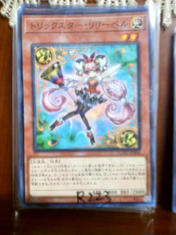 遊戲王COTD-JP006 詭術星 鈴蘭 普卡 R223(98新)換新卡套 | 露天市集 | 全台最大的網路購物市集