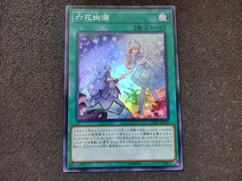 (新世界) DBSS-JP023 六花絢爛 亮面 99-95分 | 露天市集 | 全台最大的網路購物市集