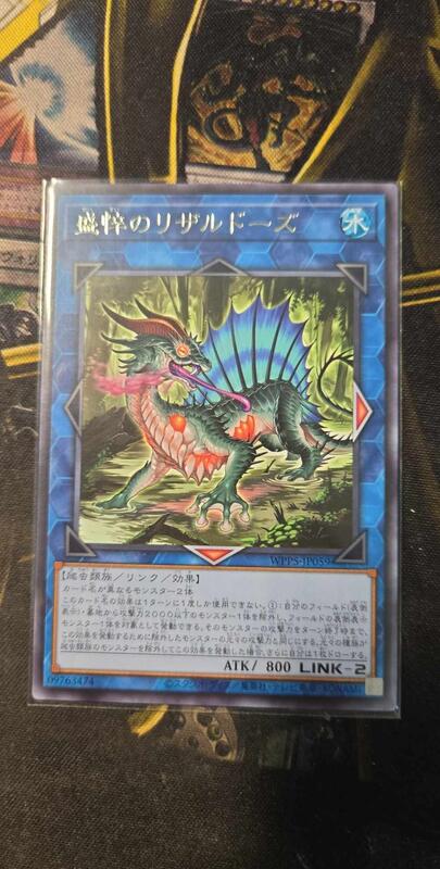 [九四賣客] WPP5-JP059 憔悴蜥蜴龍 銀字 | 露天市集 | 全台最大的網路購物市集