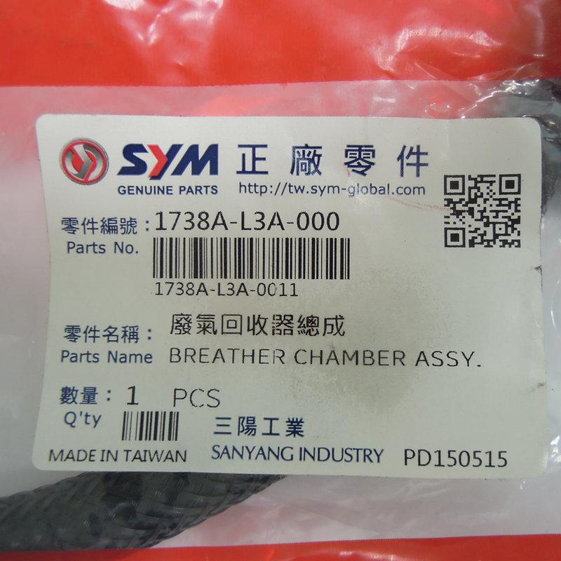 GTS300i 廢氣回收器總成 1738A-L3A-000 (1736A-HMB-000可用) 三陽原廠零件公司貨 | 露天市集 | 全台最大 ...
