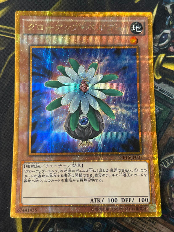 有點名 遊戲王 日紙 GP16-JP001 成長球莖 黃金半鑽 | 露天市集 | 全台最大的網路購物市集