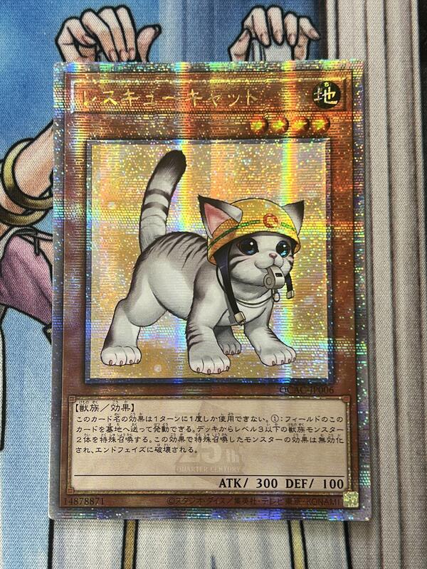 有點名 遊戲王 韓紙 QCAC-JP006 救援貓 異圖 金鑽 | 露天市集 | 全台最大的網路購物市集