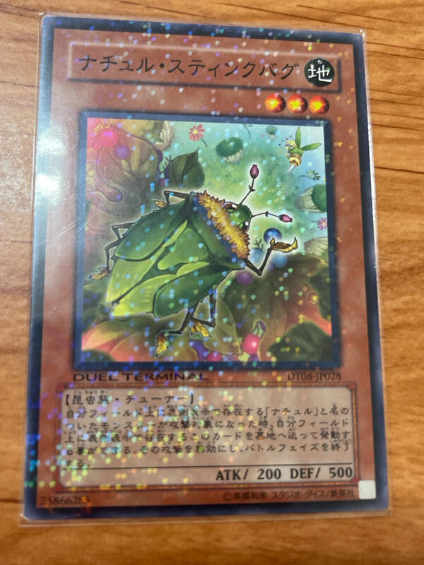 《山間卡舖》 tata DT08-JP028 自然椿象 (普鑽/普卡點鑽) 90分 | 露天市集 | 全台最大的網路購物市集