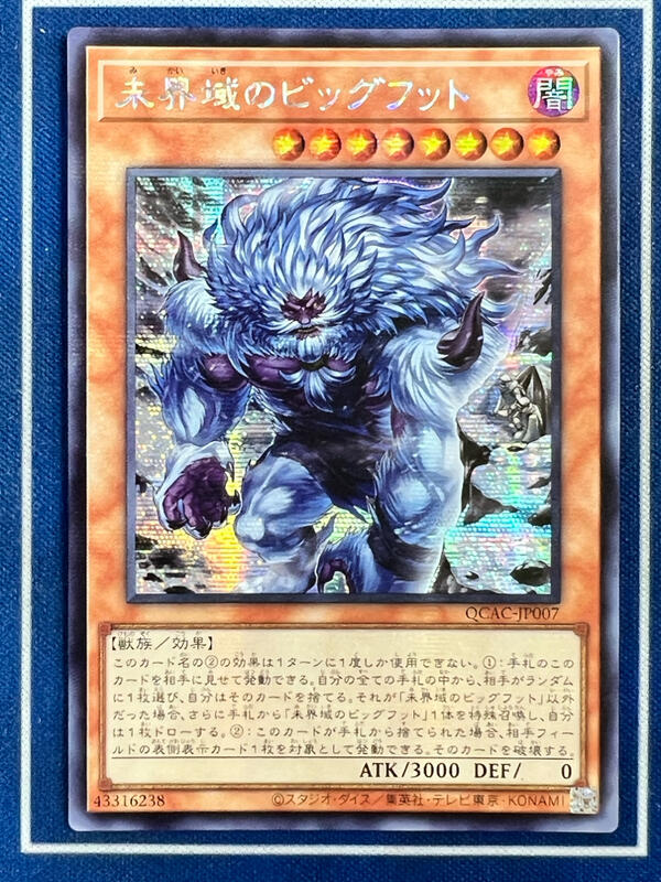 (白貓貓) 韓紙《異圖半鑽》QCAC-JP007 未界域的大腳怪 | 露天市集 | 全台最大的網路購物市集