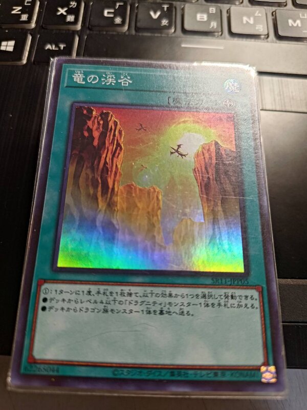 [神宣小舖]龍之溪谷 SR11-JPP05 (亮面) | 露天市集 | 全台最大的網路購物市集