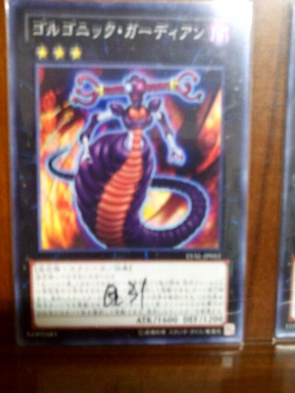 遊戲王LVAL-JP051 蛇頭守護者 普卡 Q31 (98新)換新卡套 | 露天市集 | 全台最大的網路購物市集