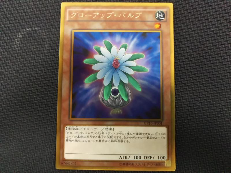 (新世界) GP16-JP001 成長球莖 黃金 98-90分 | 露天市集 | 全台最大的網路購物市集