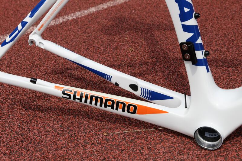 全新GIANT TCR ADVANCED SL RABOBANK車架 | 露天市集 | 全台最大的網路購物市集