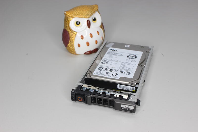 DELL PGHJG 0PGHJG 300GB 10K RPM 6Gb/s 2.5" SAS HDD | 露天市集 | 全台最大的網路購物市集