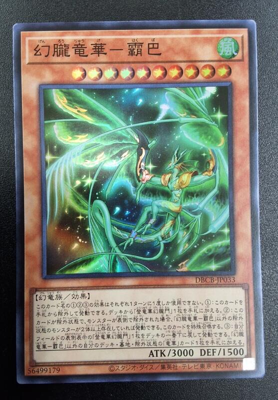 韓紙 DBCB-JP033 幻朧龍華 霸巴(亮面） | 露天市集 | 全台最大的網路購物市集