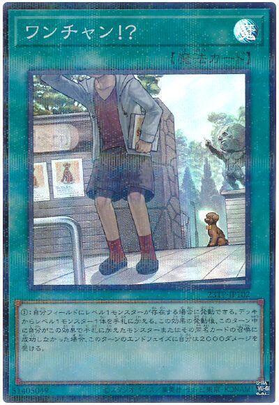 【樂遊wow】23TP-JP102 唯一機會 (亮面全鑽) | 露天市集 | 全台最大的網路購物市集