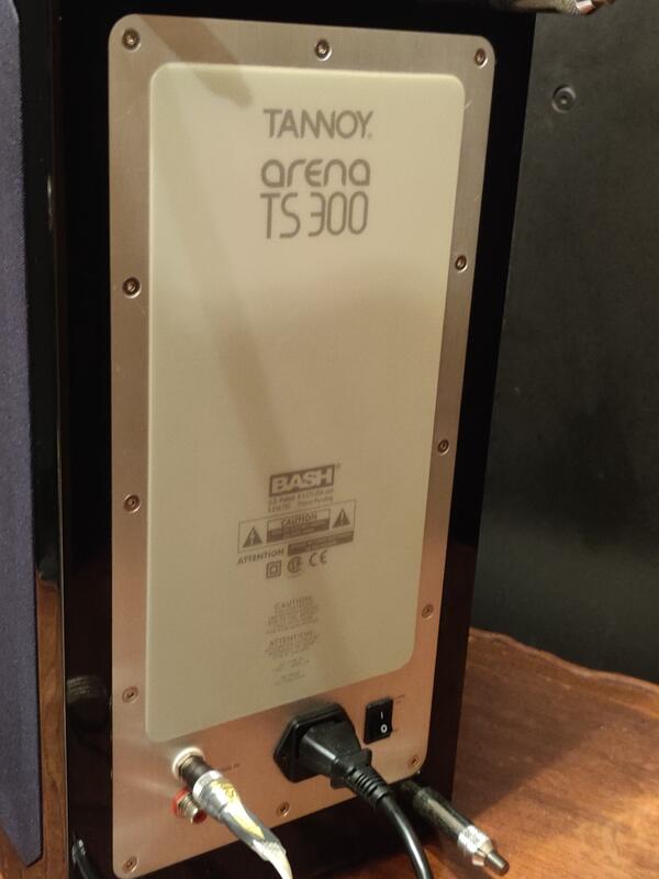 英國 TANNOY Arena TS300 鋼琴烤漆噗噗聲 低音炮 重低音（問題機）雅瑟 B&W Focal 可參考 | 露天市集 | 全台最 ...