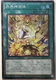 【伯明罕】LEDE-JP069 共界神淵體 (亮面) | 露天市集 | 全台最大的網路購物市集