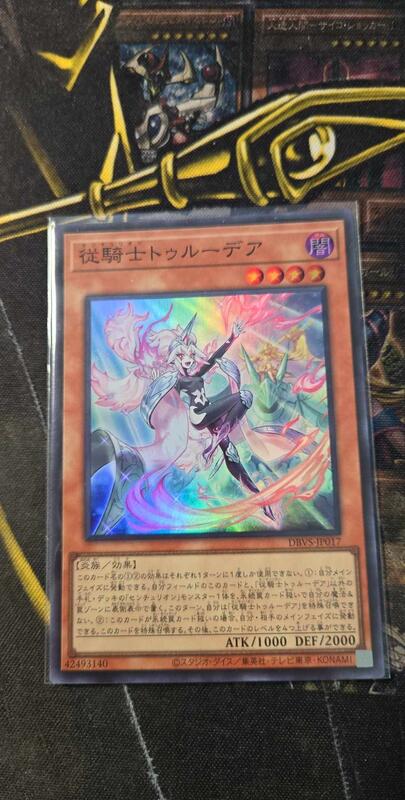 [九四賣客] DBVS-JP017 百夫騎士團 從騎士特露迪亞 (亮面) 日紙 | 露天市集 | 全台最大的網路購物市集