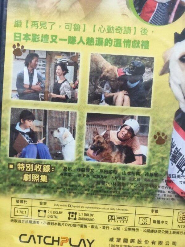 挖寶二手片-E01-017-正版DVD-日片【菜鳥警犬的夢想 便利袋裝】-夏帆*改編自真實勵志故事(直購價) | 露天市集 | 全台最大的網路購物市集