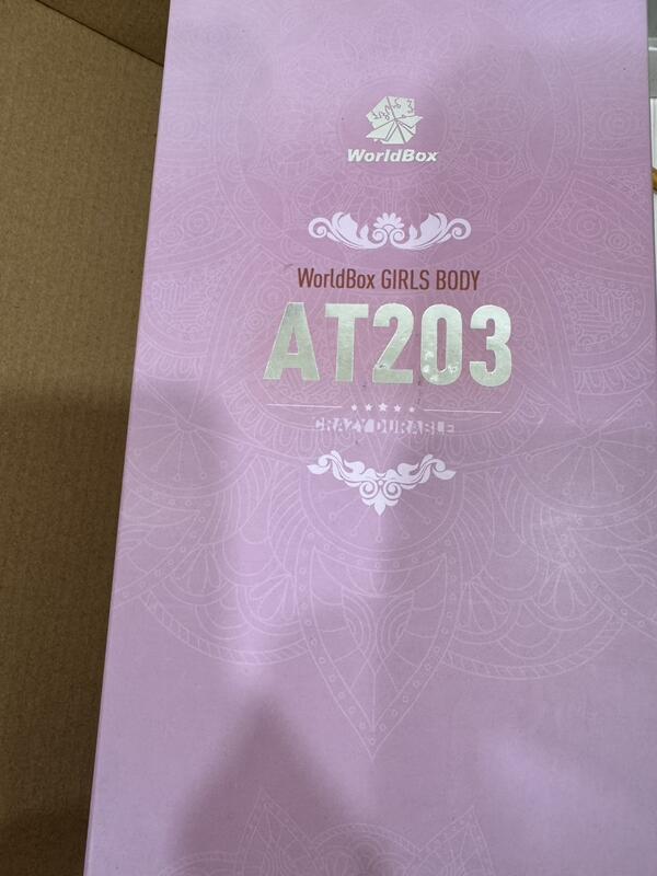 素體專賣店 嚴選展示福利品 world box 耐操AT203 白肌 女素體 12吋人偶 | 露天市集 | 全台最大的網路購物市集