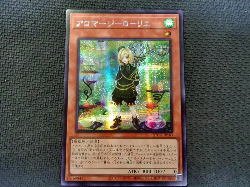 (新世界) QCCU-JP163 芳香法師 月桂葉 銀字半鑽 99-97分(韓紙 | 露天市集 | 全台最大的網路購物市集