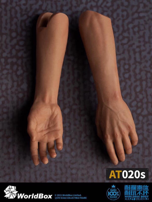 (LETSHEGO)現貨 Worldbox1/6 耐操素體靜態「一體臂」素體套裝AT020S 小臂配件包AT020C | 露天市集 | 全台最 ...