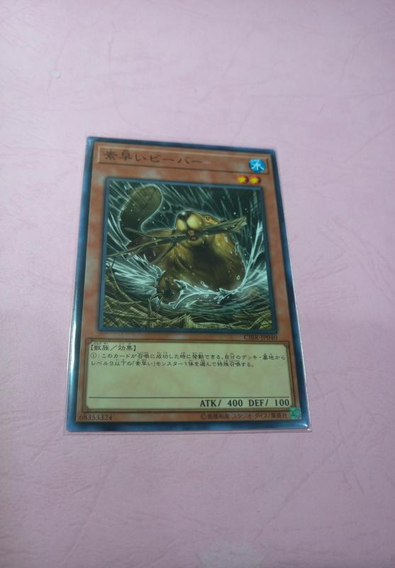 遊戲王 現貨 代賣 22TP-JP209 CIBR-JP040 迅捷河狸( 普卡) (全新未使用)不限版本 | 露天市集 | 全台最大的網路購物市集