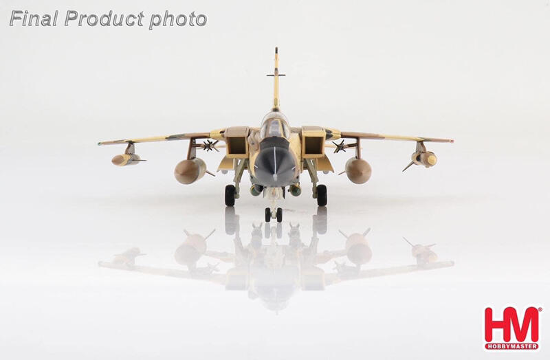 【模王 HM 8月預購】龍捲風 Tornado IDS RSAF 阿拉伯塗裝 比例1/72 合金飛機完成品 HA6710 | 露天市集 | 全 ...