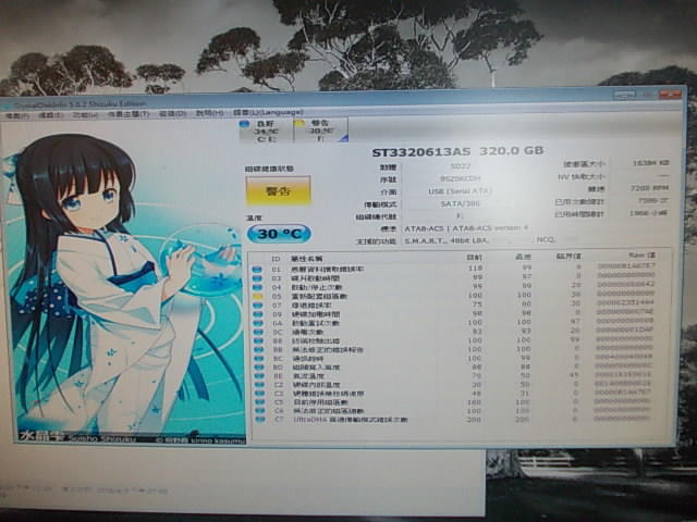 Seagate ~3.5吋~硬碟~320GB(SATA)~型號ST3320613AS | 露天市集 | 全台最大的網路購物市集