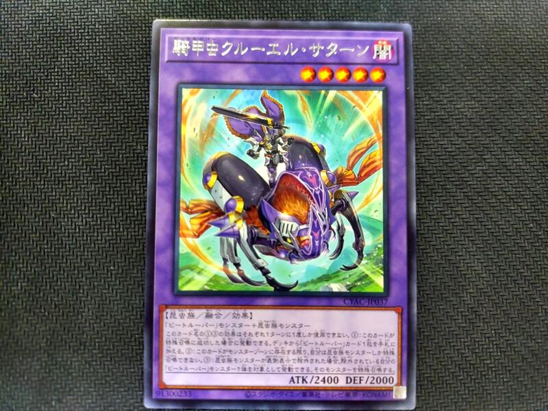 (新世界) CYAC-JP037 騎甲蟲 殘酷撒旦大兜蟲 銀字 99-95分 | 露天市集 | 全台最大的網路購物市集