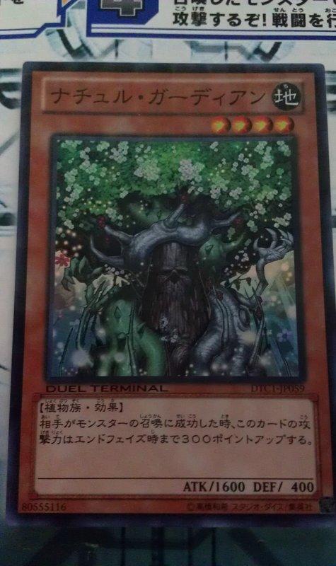 【旺旺卡鋪】遊戲王 日版 亮面方鑽 DTC1-JP059 自然守護者 | 露天市集 | 全台最大的網路購物市集