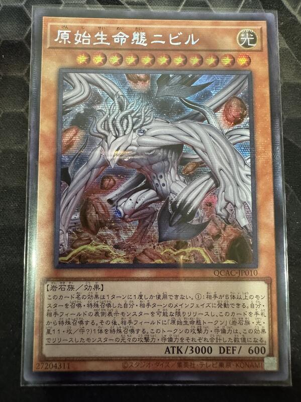 ~仙人小舖~ QCAC-JP010 原始生命態 尼比魯 【半鑽】 韓 異圖 | 露天市集 | 全台最大的網路購物市集