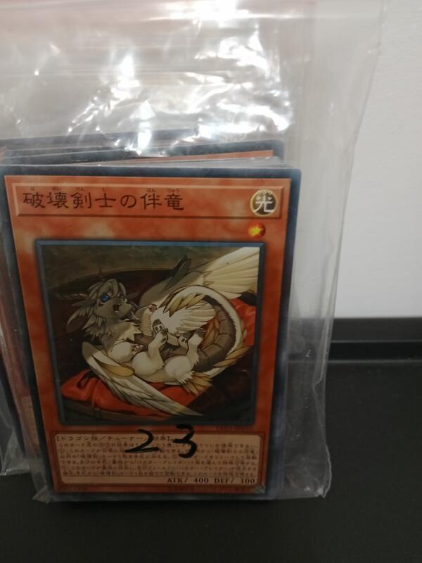 遊戲王 LVP3-JP010 破壞劍士的伴龍 普卡 光23 | 露天市集 | 全台最大的網路購物市集