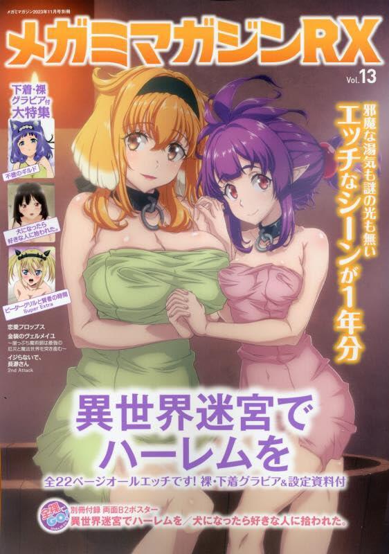 【現貨供應中】 Megami Magazine RX Vol.13 | 露天市集 | 全台最大的網路購物市集