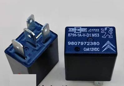 871H-1A-V-D1 M53 保險絲盒霧燈繼電器 9807972380 | 露天市集 | 全台最大的網路購物市集