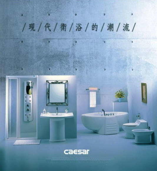 大鯊魚水電廣場】Caesar 凱撒衛浴 WG121 可調式 不鏽鋼 沐浴滑桿 淋浴用掛架 蓮蓬頭升降桿 滑桿 | 露天市集 | 全台最大的網路購物市集