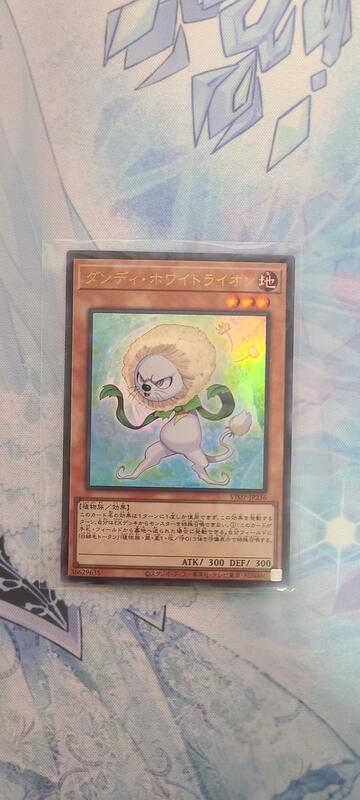 《LN卡鋪》VJMP-JP236 白獅子花 (金亮) | 露天市集 | 全台最大的網路購物市集